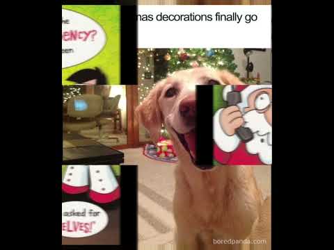 Christmas memes