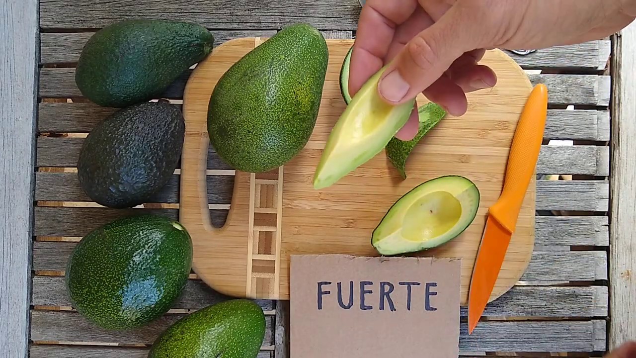 Fuerte avocado: a profile