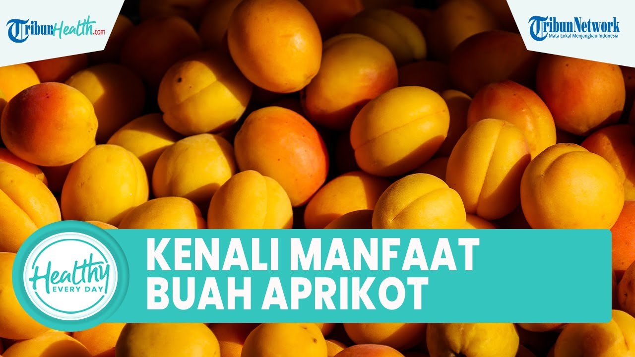 Kenali Buah Aprikot yang Kaya akan Nutrisi, Ini Manfaat untuk Kesehatan ...