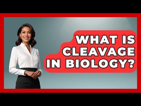 What Is Cleavage In Biology? - Biology For Everyone