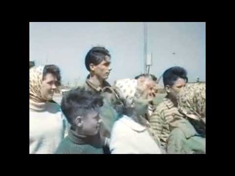 Dutch History: New Princess Beatrix Ferry from Vlissingen to Breskens (1958)