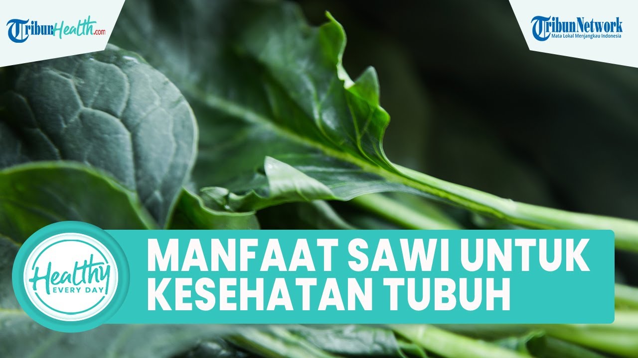 Kandungan Nutrisi Sawi Bagus Untuk Mencegah Kanker Dan Turunkan Kolesterol Ini Manfaat Untuk