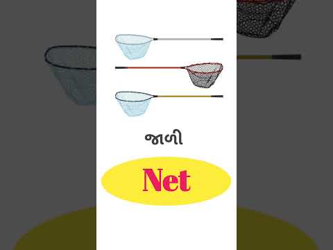 Net Meaning in Gujarati - English Gujarati Dictionary