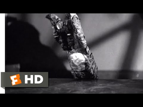 It! The Terror From Beyond Space (1958) - Strange Noises Scene (4/12) | Movieclips