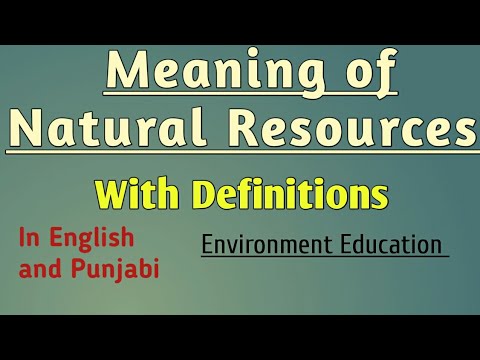 Meaning of Natural Resources with Definitions
