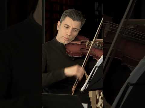 HANDEL // 'Violin Sonata in D Major, HWV 371: I. Affettuoso' by Quartetto Vanvitelli #classicalmusic