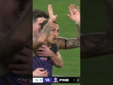 DISCO Shai dances on 'em 🕺