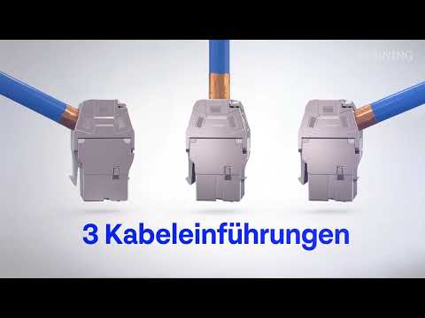Everon® Datennetzwerktechnik geschirmte Keystone Module
