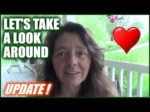 Homestead Projects And Ideas Update | Workshop And Garden