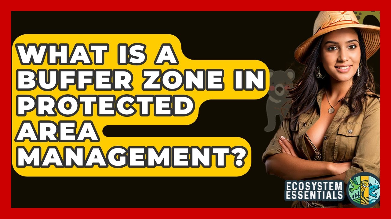 What Is A Buffer Zone In Protected Area Management? - Ecosystem Essentials