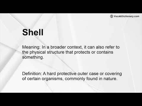 Shell Meaning