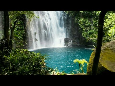 Beautiful Pictures Of Nature | Nature Dp For Whatsapp | Nature Images | Nature Photos |Nature Dp Pic
