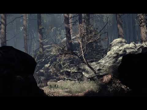 Steam Community :: Video :: Blair Witch VR LOD SteamVR