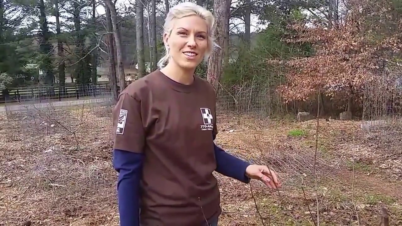 Fruit tree pruning Tree Service in the Atlanta area