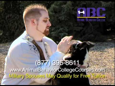 Animal Behavior College -- Dog Obedience