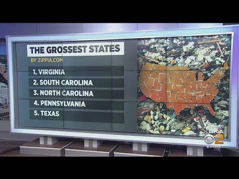 Pa. Ranks Among Grossest States In The Country