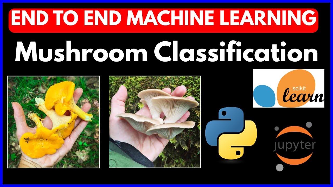 Mushroom Binary Classification | Machine Learning Project | Python | Hindi