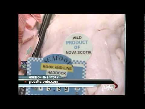 SUSTAINABLE SEAFOOD - Minna Rhee finds out what is Ocean Wise for Global News