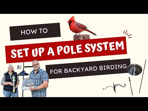 How To: Set Up A Pole System