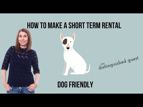 How To Make Your Vacation Rental Dog Friendly