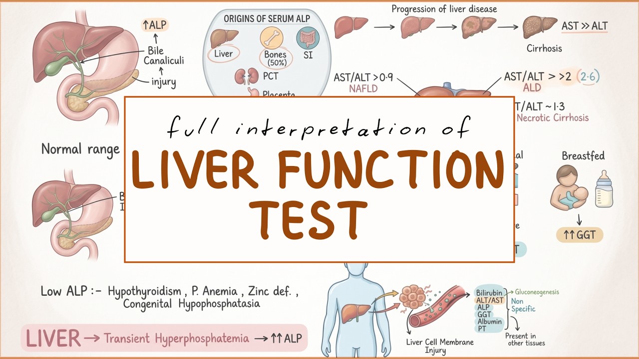 Liver Function Test (LFT) Interpretation Made Easy | ALT, AST, ALP, GGT Explained