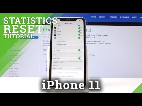 How to Reset Statistics in iPhone 11 – Data Usage Info