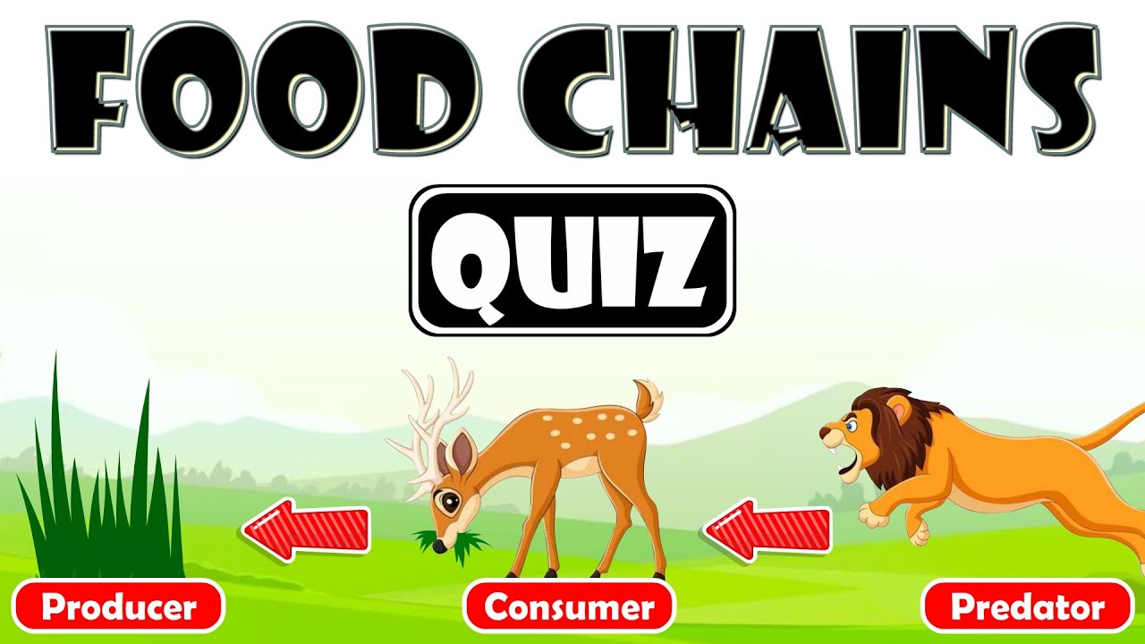 Food Chains Quiz for Kids | Exploring Energy Flow in Ecosystems | Roles of Organisms in Food Chains