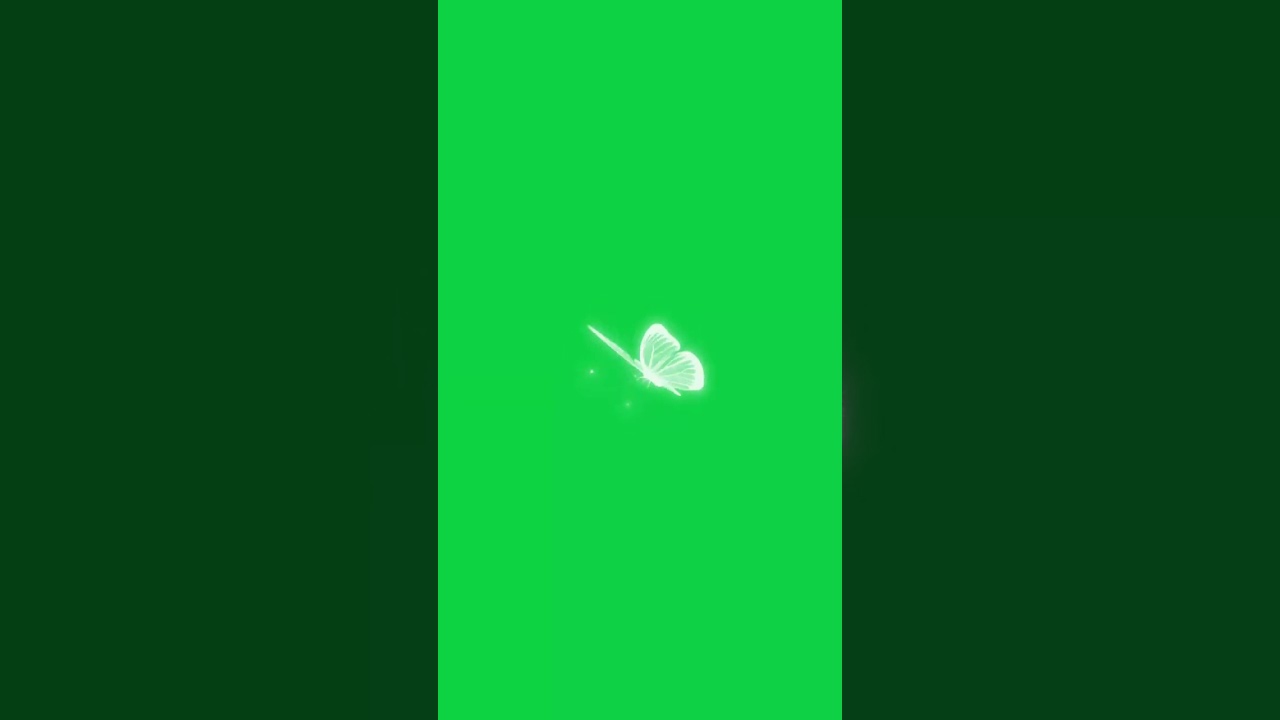 White butter fly green screen animation free to use