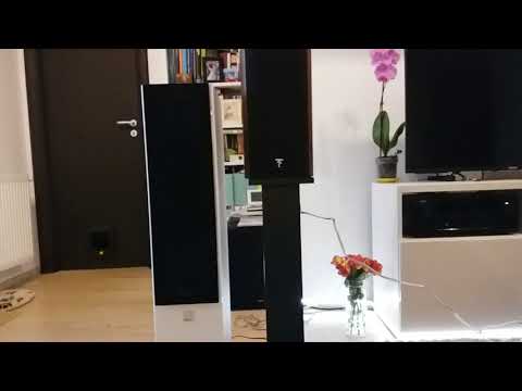 Dali Zensor 7 vs Focal 706 ( Floorstander vs Bookshelf/Standmound) Voice and guitar battle