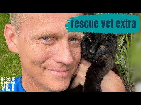 Heartbreaking goodbye to my Portuguese street cat | Ricketts’ Story | Storytime with Dr Scott