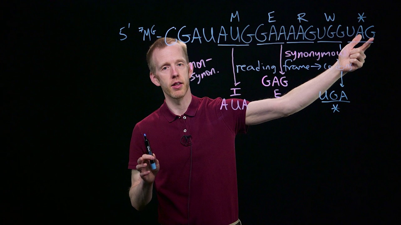 Mutations and Translations