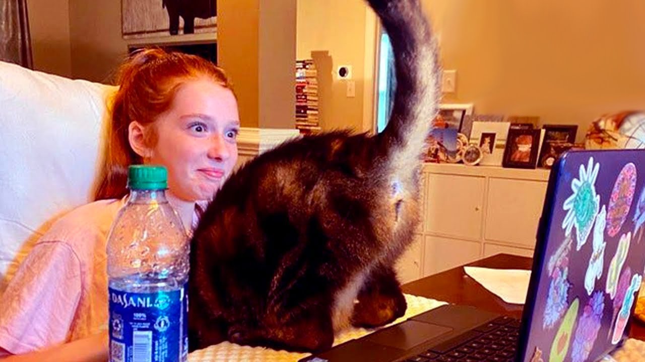 THE MOST 🤣🤣🤣 OF r/FUNNY