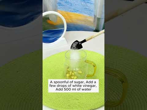 Multi-nutrient flower water #gardening #plants #garden