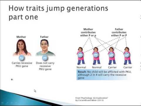 Psychology 101: Heredity and Genetics