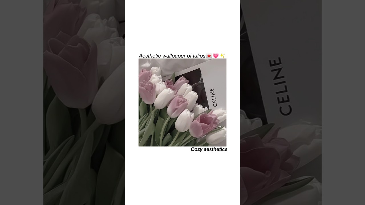 Aesthetic wallpaper of tulips🌷💗✨#cozyaesthetic#wallpaper #aesthetic#favorite#isabellarosa