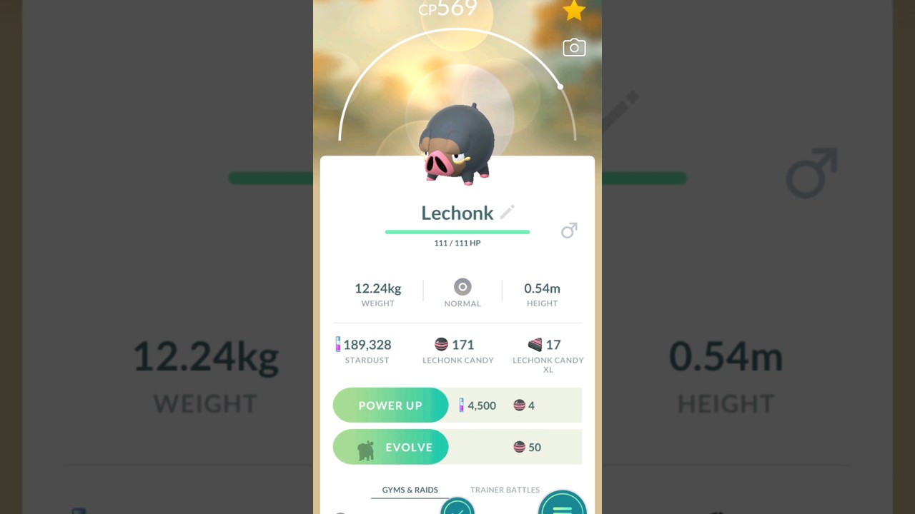 Evolution of Oinkologne from Lechonk Pokemon Go #oinkologne #lechonk #pokemon #evolution