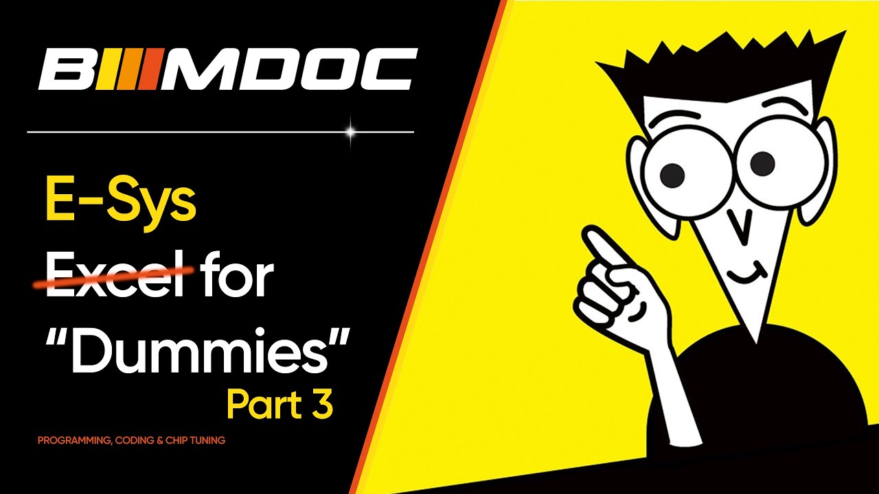 Never shown before E-Sys coding guide. Coding (CAFD) file comparison principle explained. Part 3