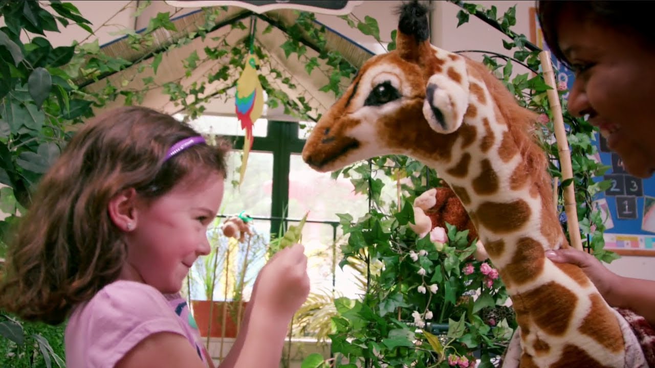 Welcome to Discovery Isle Preschool