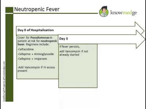 Internal Medicine ABIM Board Exam Review Question: Neutropenic Fever