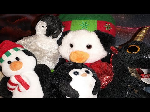 The Stuffed History of Stuffed Animals