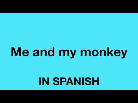 How To Say (Me and my monkey) In Spanish