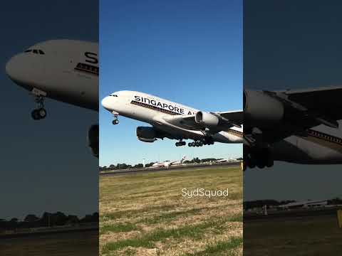 Singapore Airlines A380 Takeoff at Sydney Airport - SydSquad Shorts