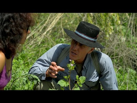 Man Eating Plants - The Movie | Self-Sufficiency | Before It's News