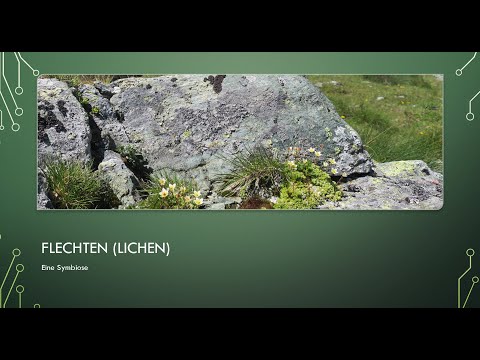 Flechten