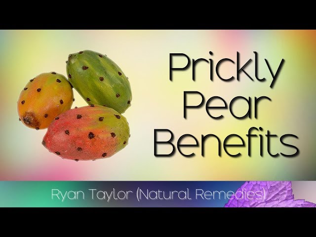 Fruit Extracts - Prickly Pear Extract Trader - Wholesaler / Distributor ...