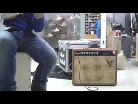 Kitty Hawk Amp/standard 1979-80 Natural | Reverb