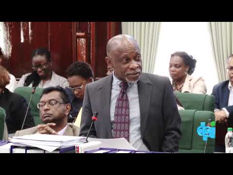 Min. Greenidge clarified that Guyana’s consulate in T&T is providing services to affected Guyanese.