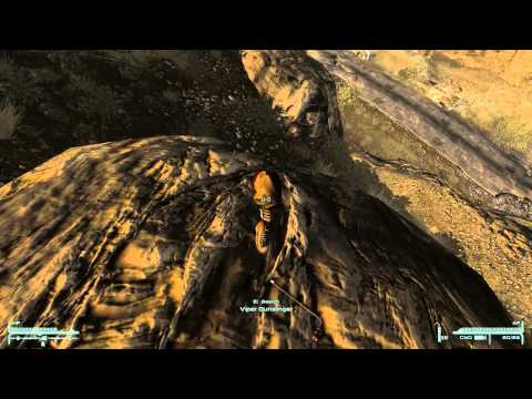 Steam Community :: Video :: Fallout: New Vegas - The Foot at the Top of ...
