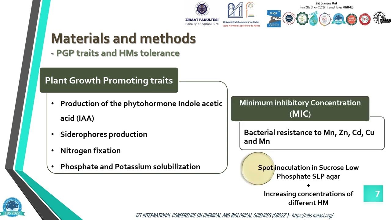 CBS22_137-Metal-tolerant bacteria isolated from the earthworm Aporrectodea molleri....