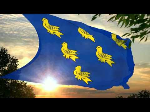 The Sussex County Flag | The history behind the Martlets
